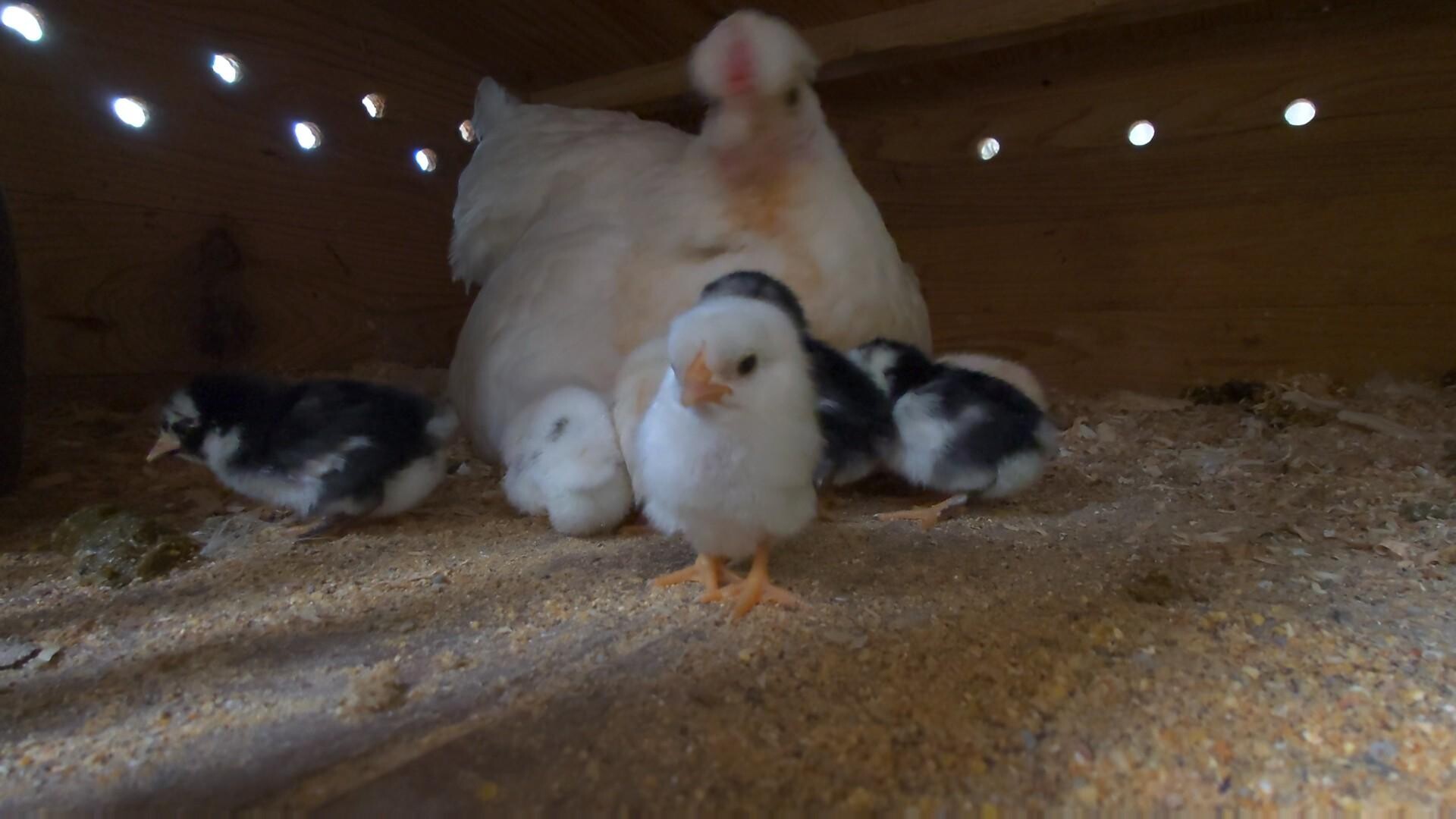 masaのページ | YAMAP / ヤマップ