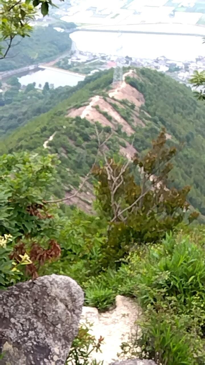 高御位山・播磨アルプス-2023-06-18 / くるくるさんの高御位山・播磨アルプスの活動データ | YAMAP / ヤマップ