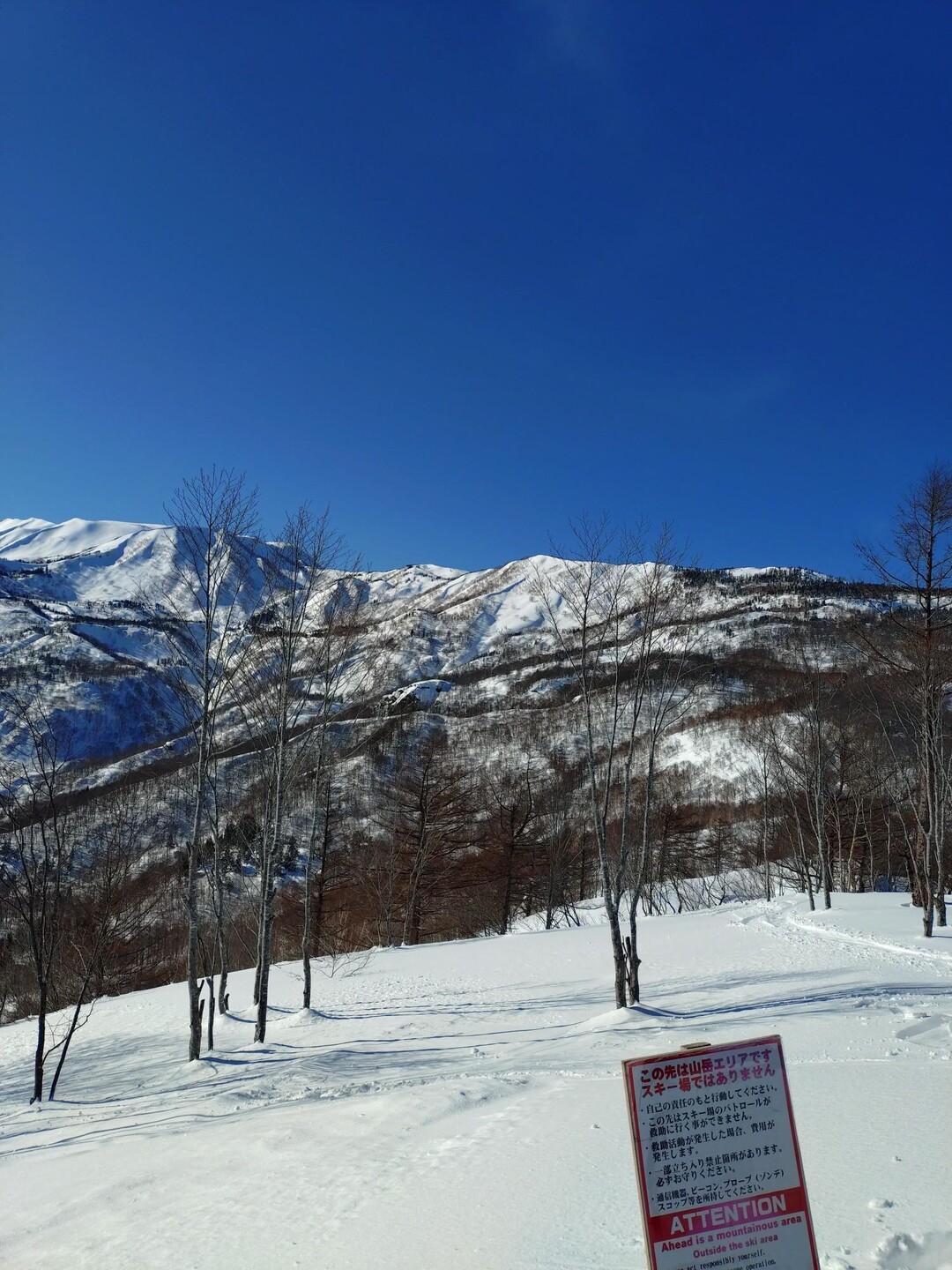 黒川沢🏂 / Mikiさんの八方尾根〜唐松岳 マウンテンドクター巡礼マップの活動データ | YAMAP / ヤマップ