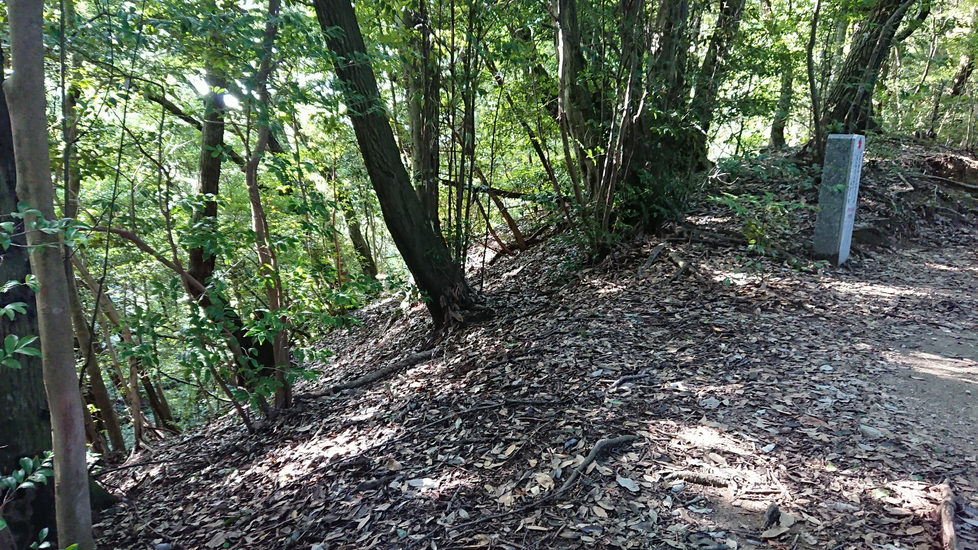 やまGさんの投稿したフィールドメモ | YAMAP / ヤマップ