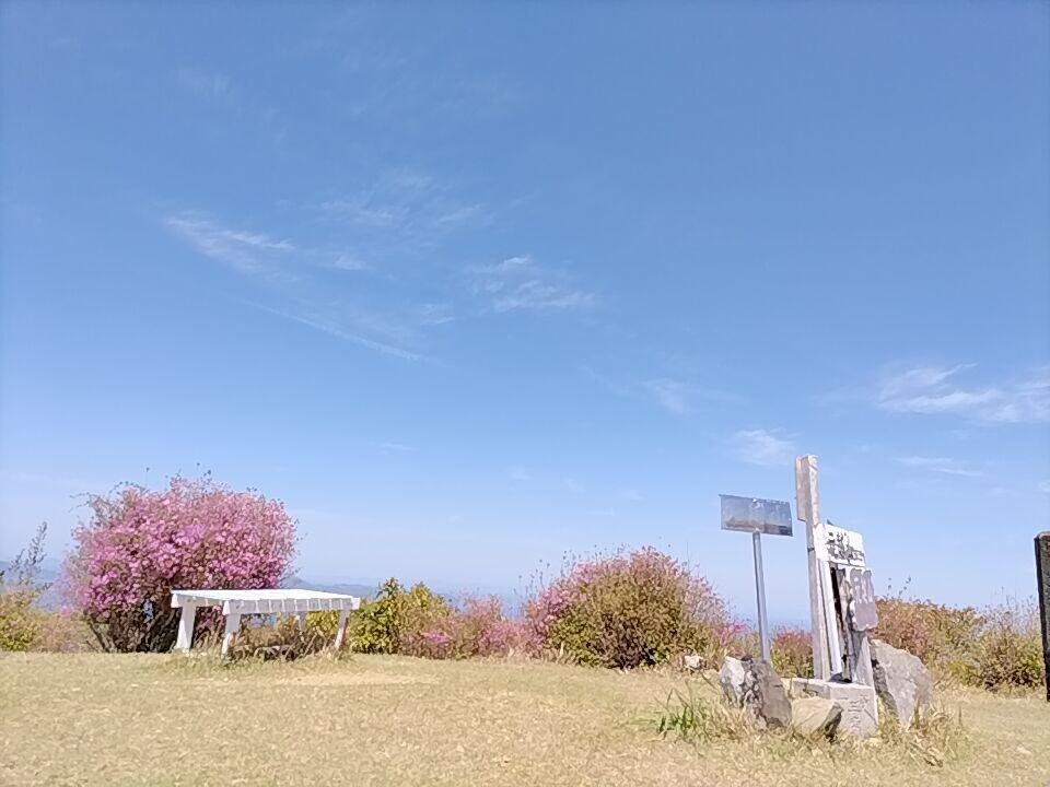 元越山(色利登山口) / yu10さんの元越山・色利山・石槌山の活動データ | YAMAP / ヤマップ