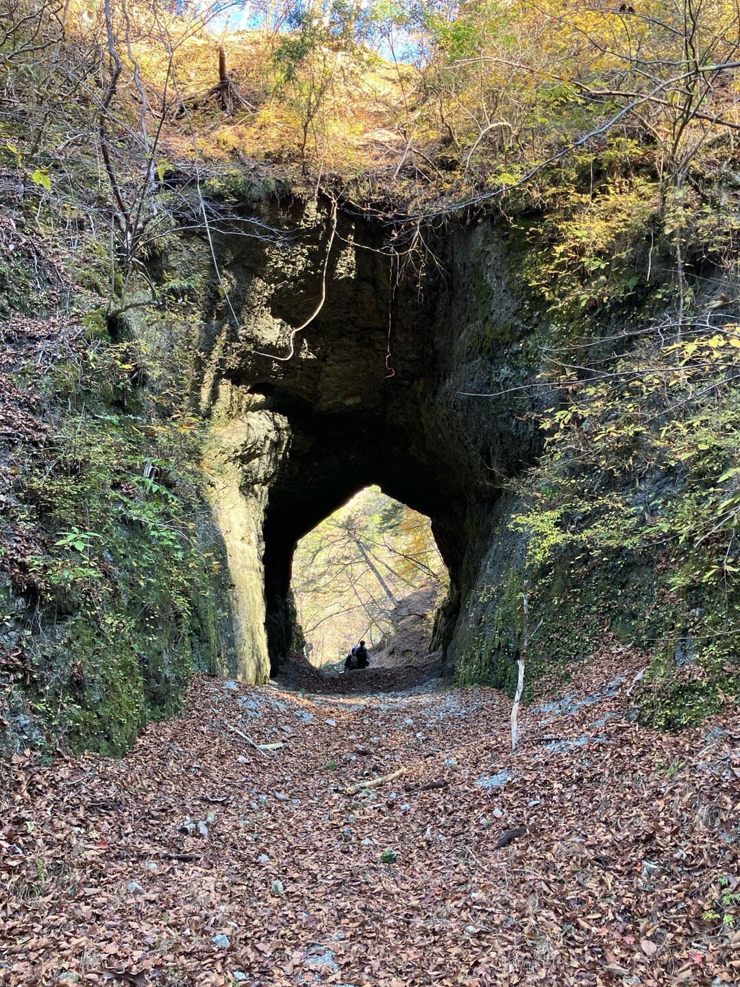ハイキング：幽深渓谷 玄倉BP〜尊仏ノ土平ピストン / ぜんぜんさんの塔ノ岳・丹沢山・蛭ヶ岳の活動データ | YAMAP / ヤマップ
