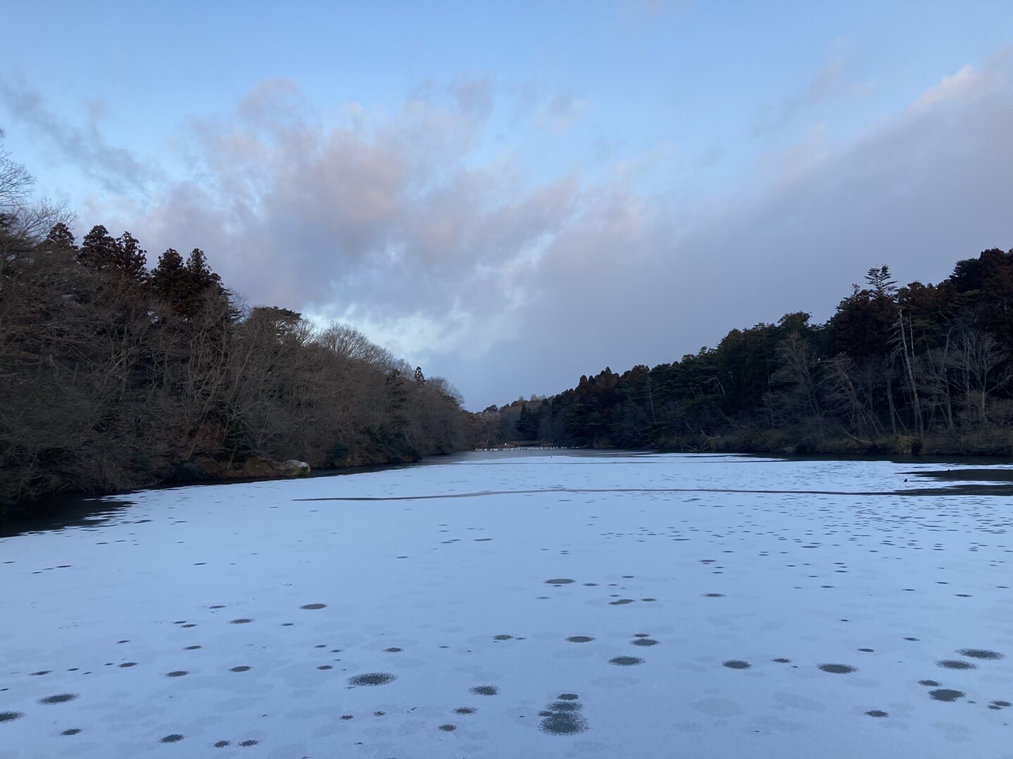 おはようございます^ ^ 今朝はところ... / OBsunさんのモーメント | YAMAP / ヤマップ
