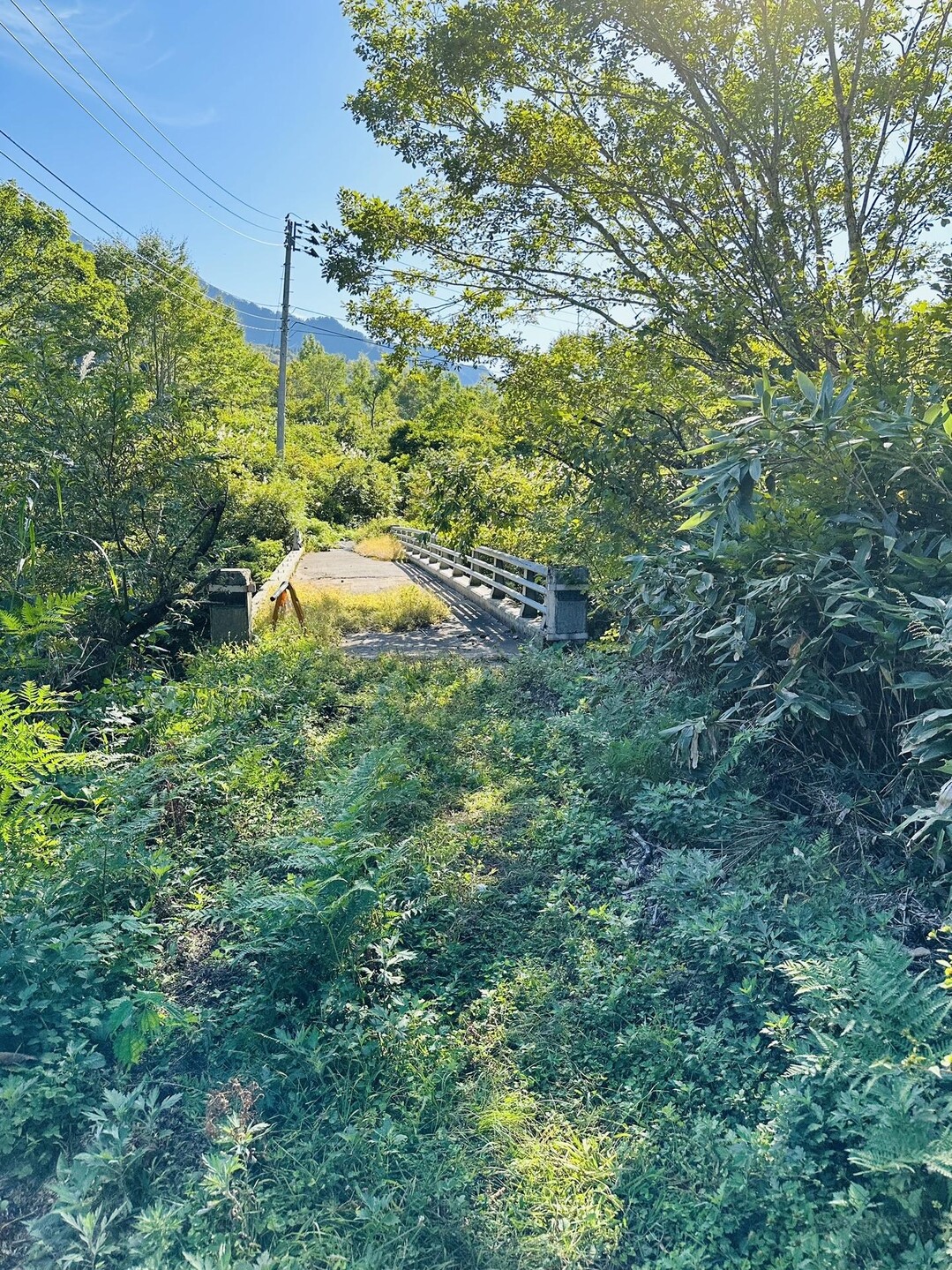 otouさんの投稿したフィールドメモ | YAMAP / ヤマップ