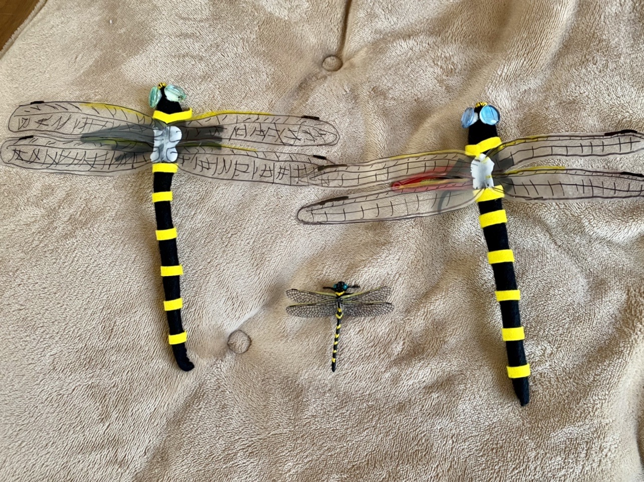 オニヤンマ君を作ってみた😁 材料買う... / junjunさんのモーメント | YAMAP / ヤマップ