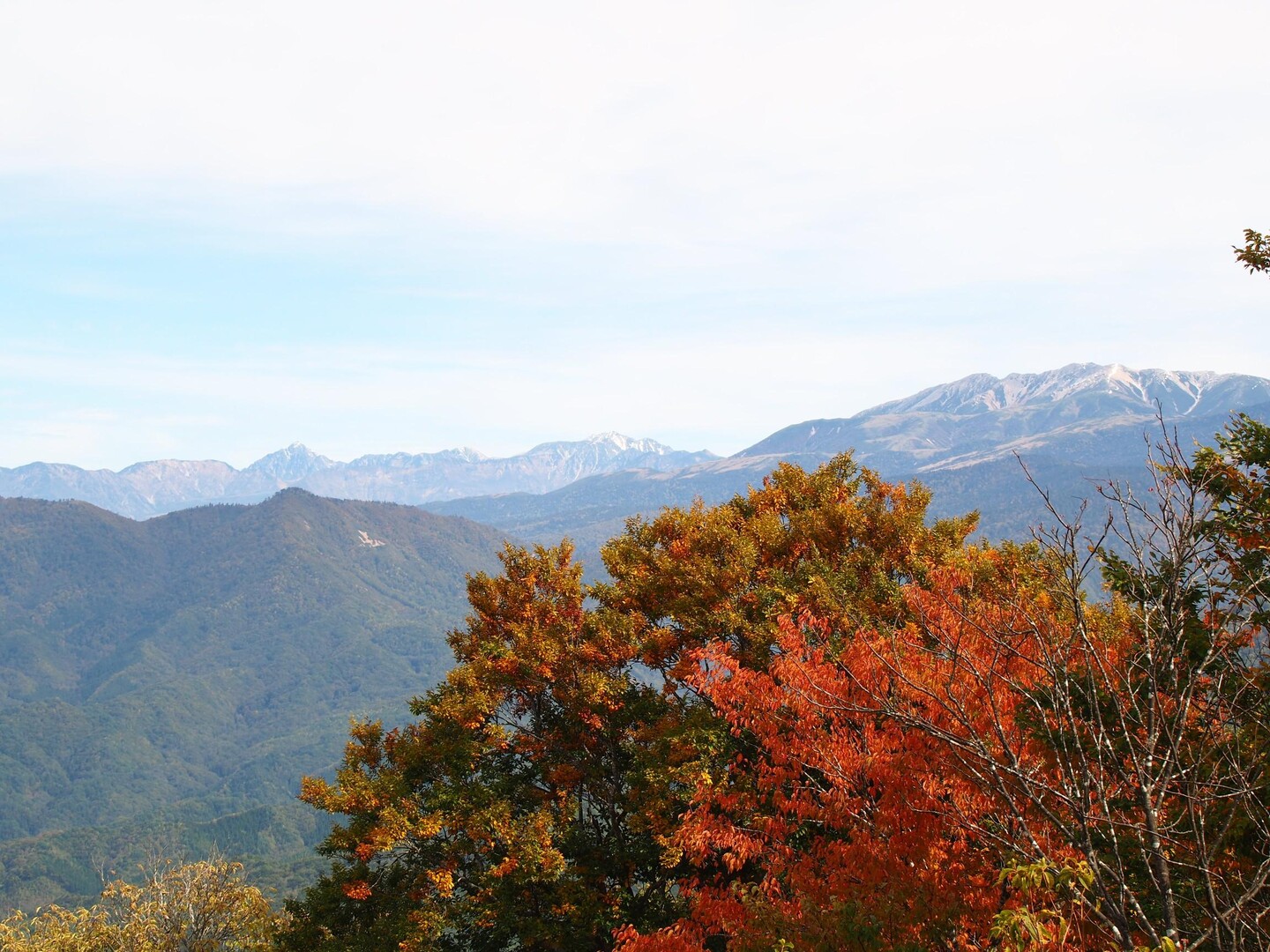 名峰一望の展望台 天蓋山 / sayさんの天蓋山・大鼠山の活動データ | YAMAP / ヤマップ