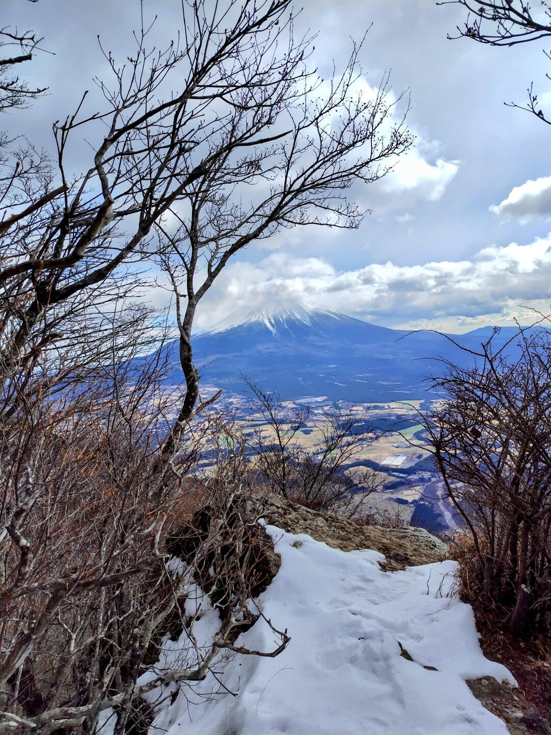 毛無山(最高点)〜タカデッキ 周回 / emiさんの毛無山・雨ヶ岳・竜ヶ岳の活動データ | YAMAP / ヤマップ