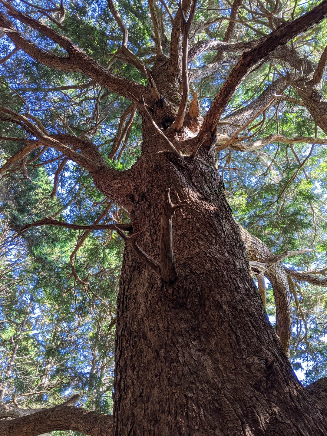 屏風山 / yasu1979さんの屏風山の活動データ | YAMAP / ヤマップ