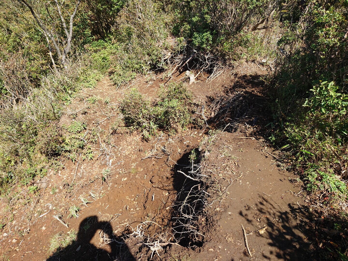 yagarinさんの投稿したフィールドメモ | YAMAP / ヤマップ