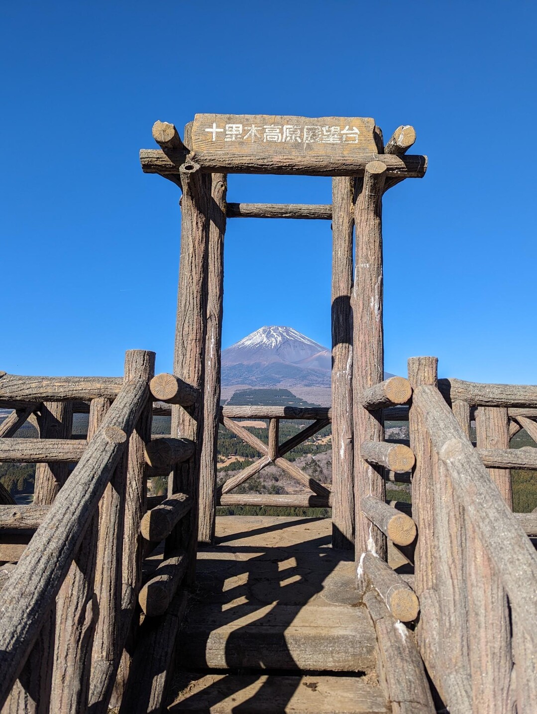 越前岳 / nicomomoさんの愛鷹山・大岳・黒岳の活動データ | YAMAP / ヤマップ