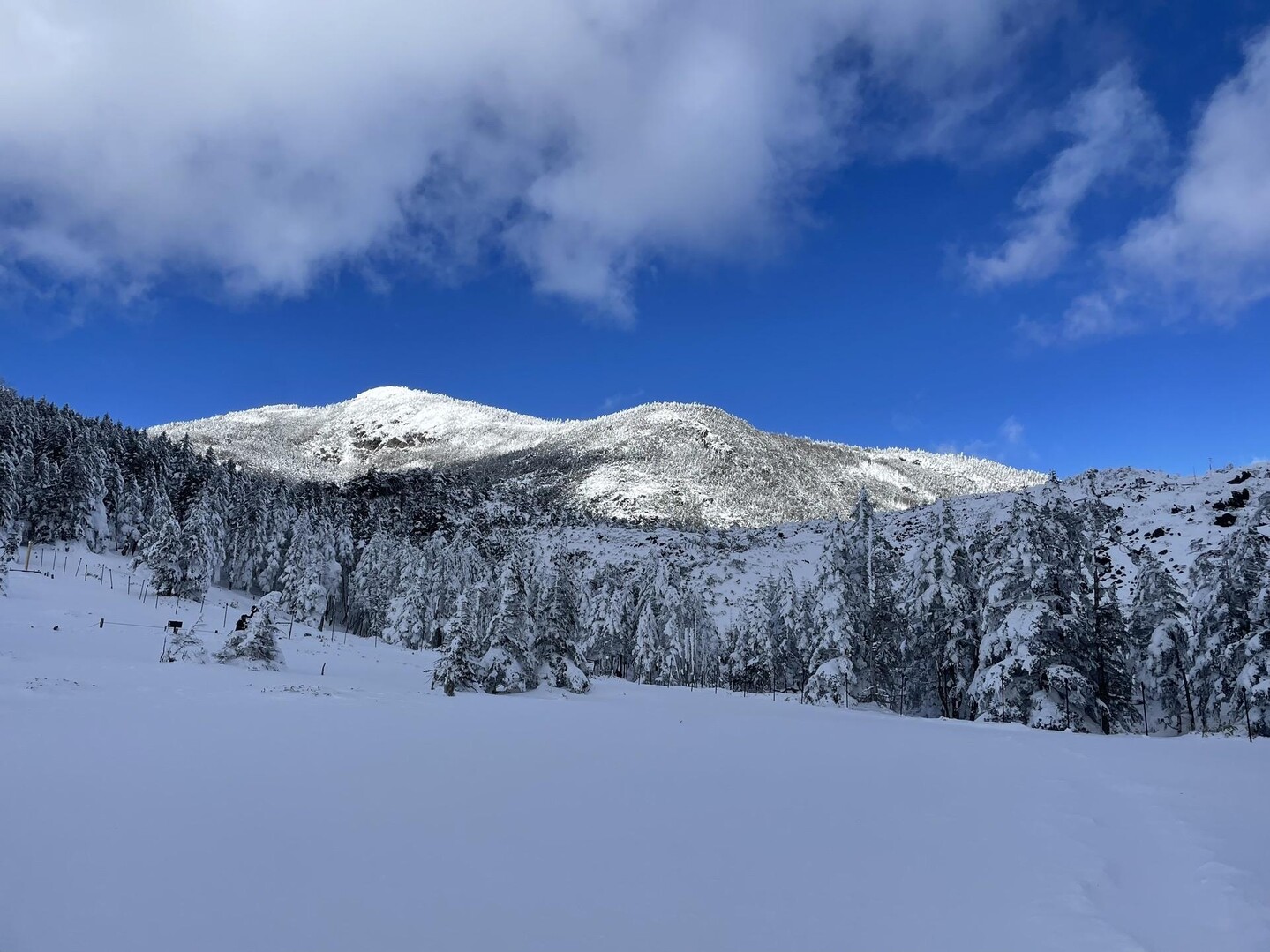 北横岳（南峰）・北横岳（北峰） / Yuuさんの蓼科山・横岳・縞枯山の活動データ | YAMAP / ヤマップ