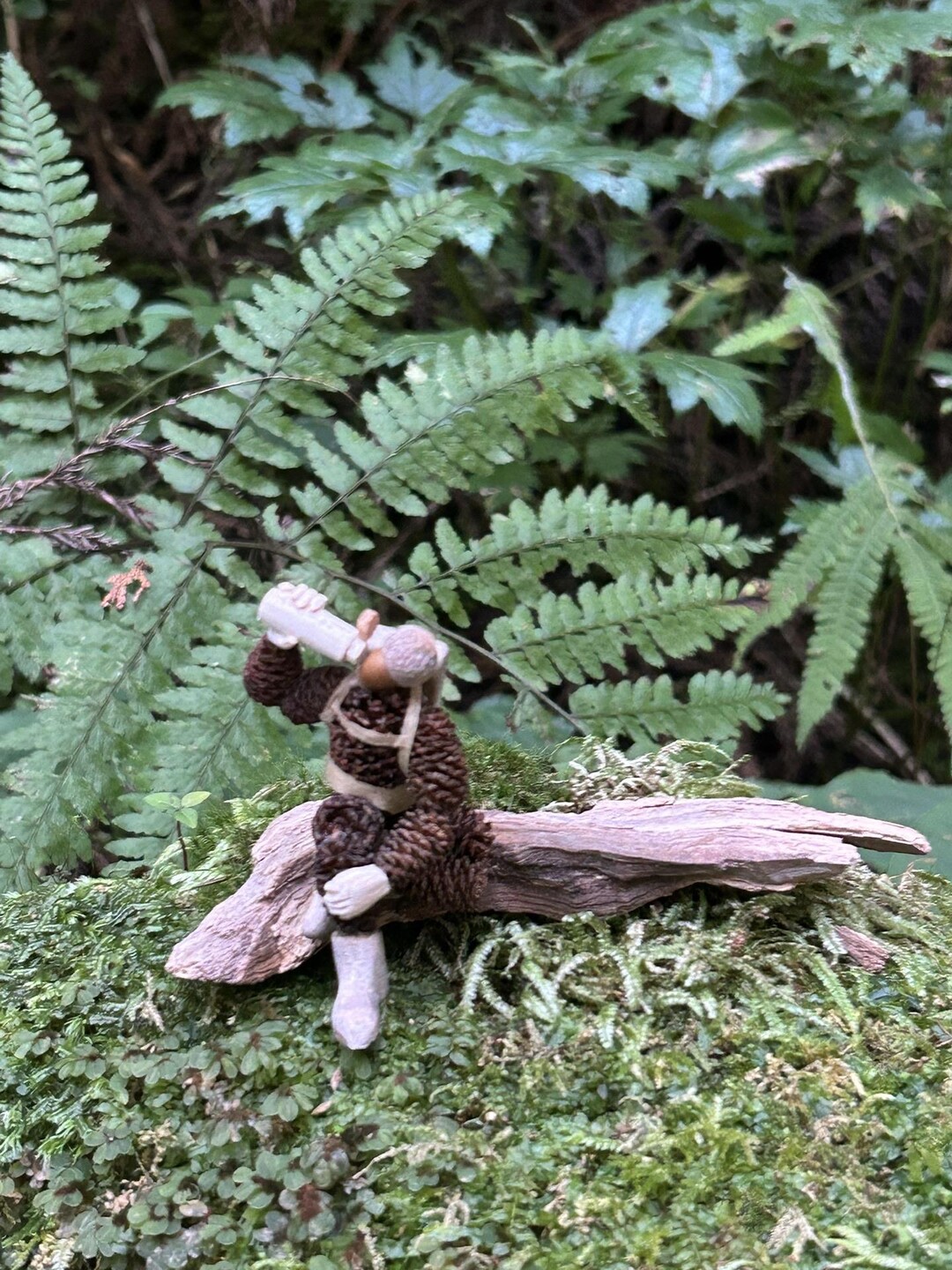 金剛山 / sakoさんの金剛山・二上山・大和葛城山の活動データ | YAMAP / ヤマップ