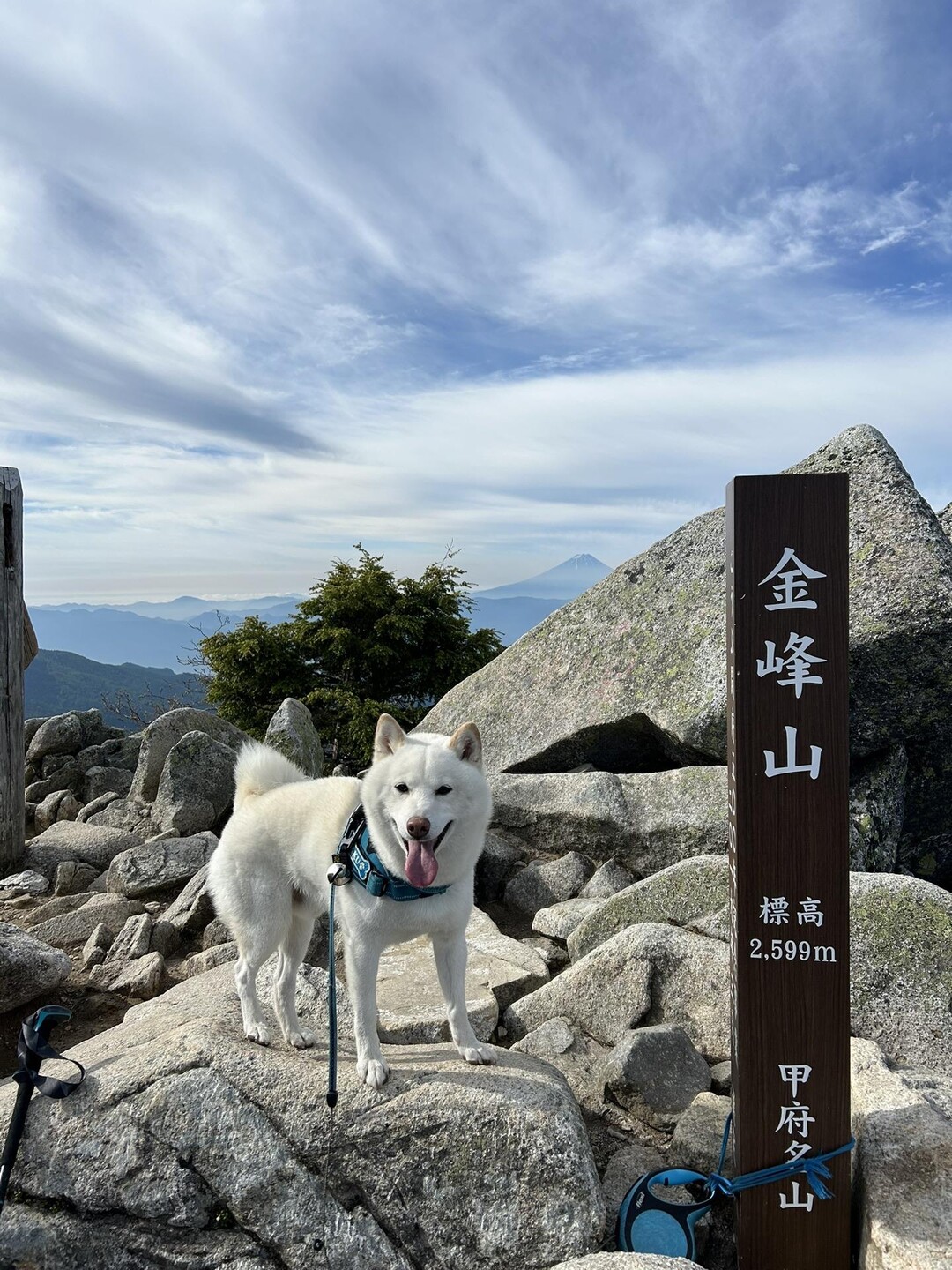 金峰山（犬連れ・大弛峠ピストン） / HAKU&NAOさんの瑞牆山・金峰山の活動データ | YAMAP / ヤマップ
