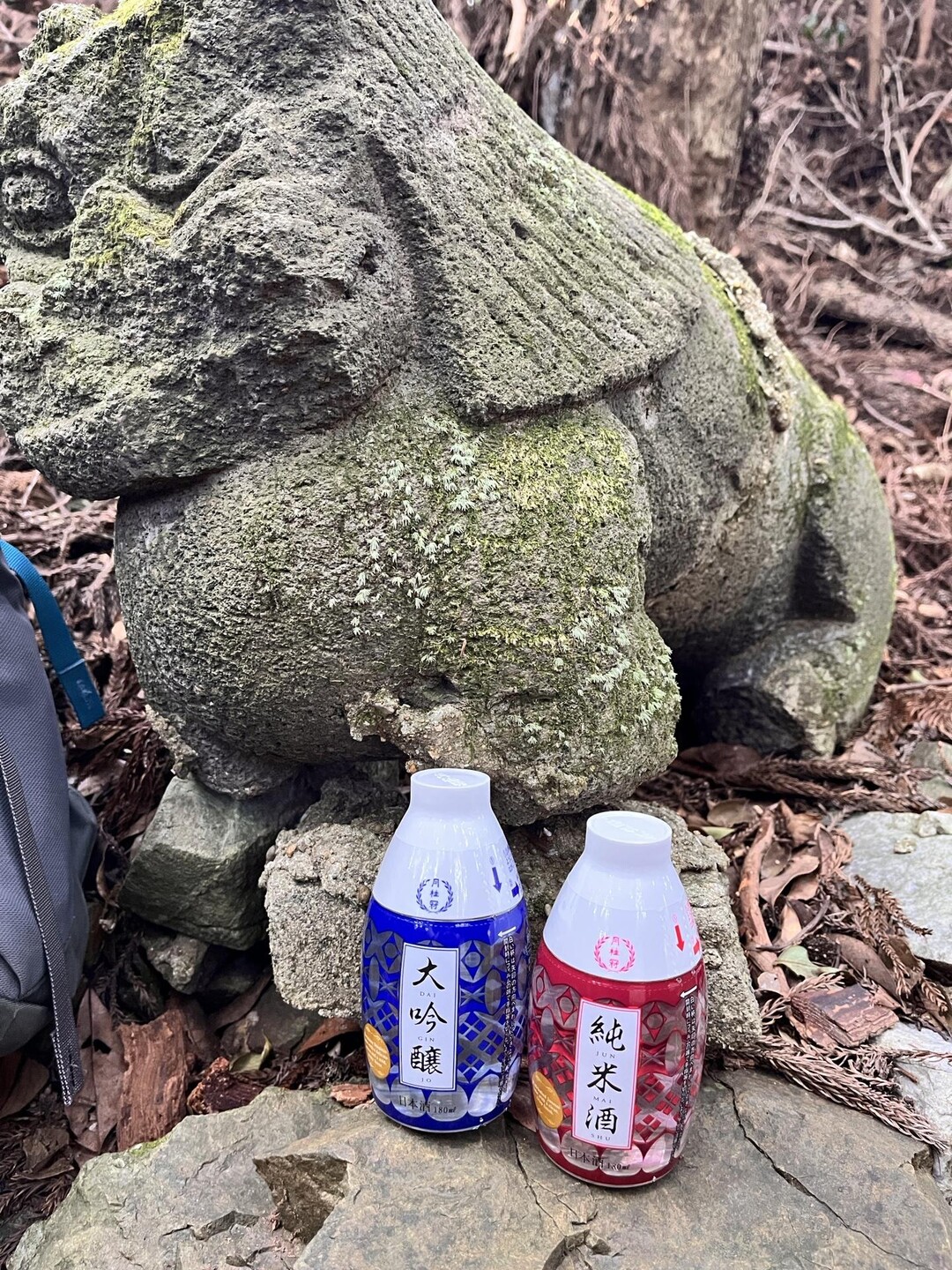 妙見山・足立山（霧ヶ岳）・小文字山 / machikoさんの足立山・戸ノ上山の活動データ | YAMAP / ヤマップ