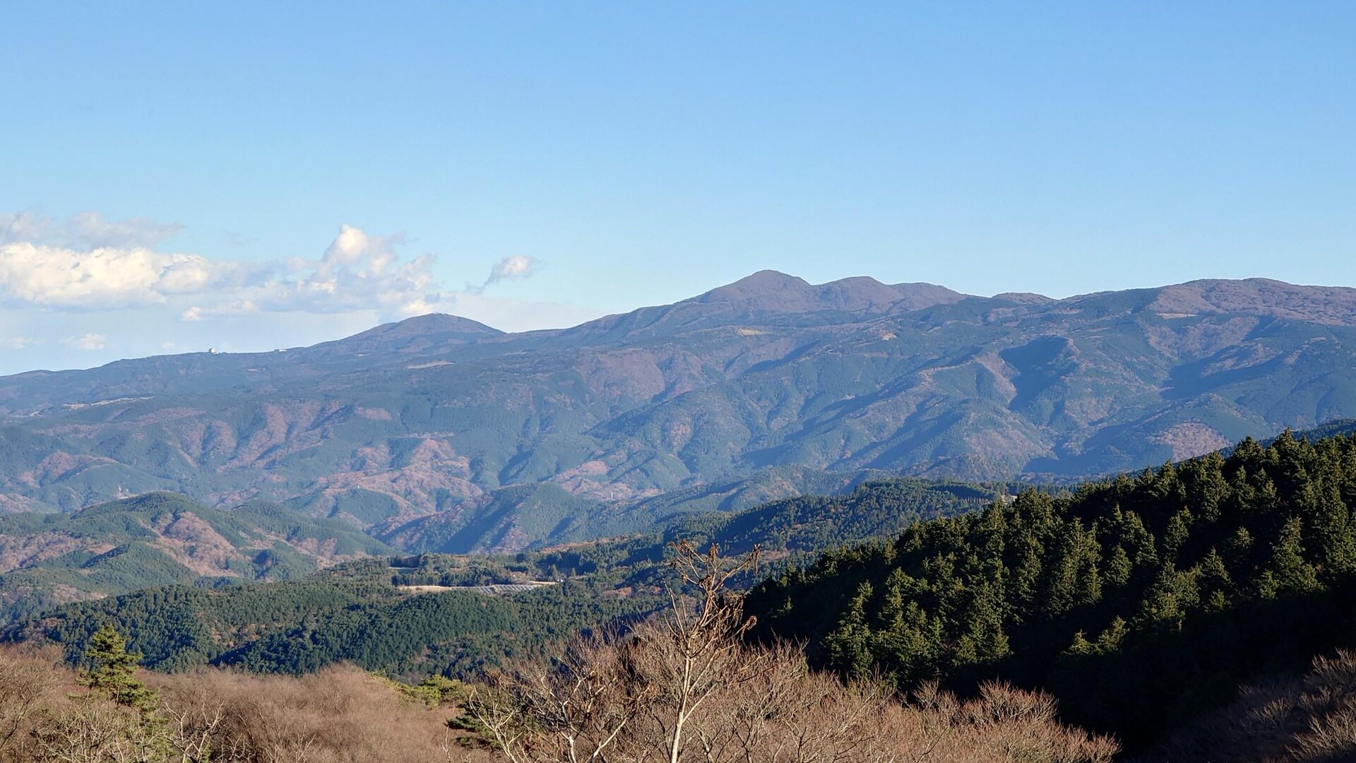 西天城高原線🏃15K / Aldenteさんの棚場山・魂の山・猫越岳の活動データ | YAMAP / ヤマップ