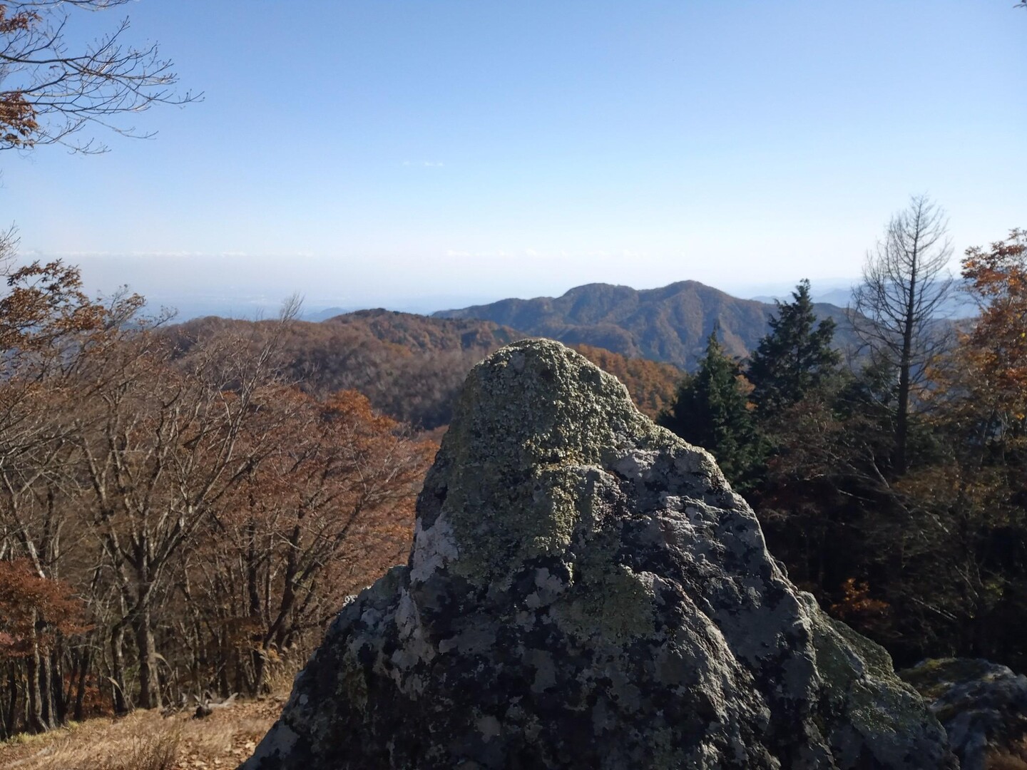 蕎麦粒山（川乗橋〜浦山大日堂）20221103 / URJさんの雲取山・鷹ノ巣山・七ツ石山の活動日記 | YAMAP / ヤマップ