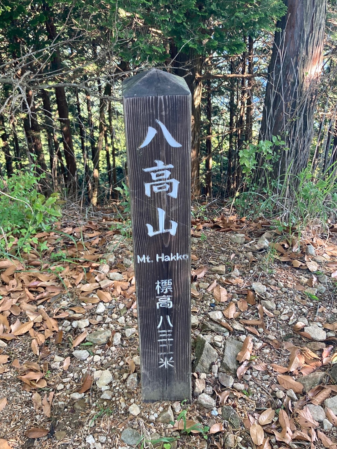 八高山 / Ken24g3さんの千葉山・白岩寺山の活動データ | YAMAP / ヤマップ