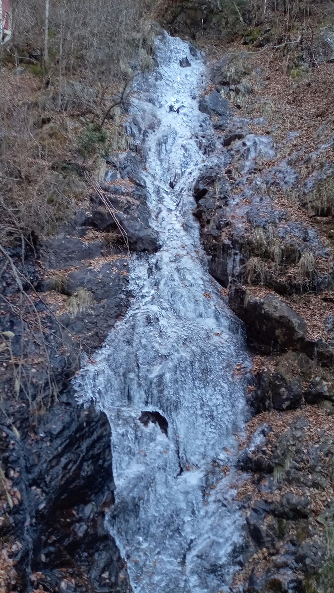 甲州高尾山・宮宕山(剣ヶ峰) / Yos 8611さんの甲州高尾山・宮宕山・源次郎岳の活動データ | YAMAP / ヤマップ