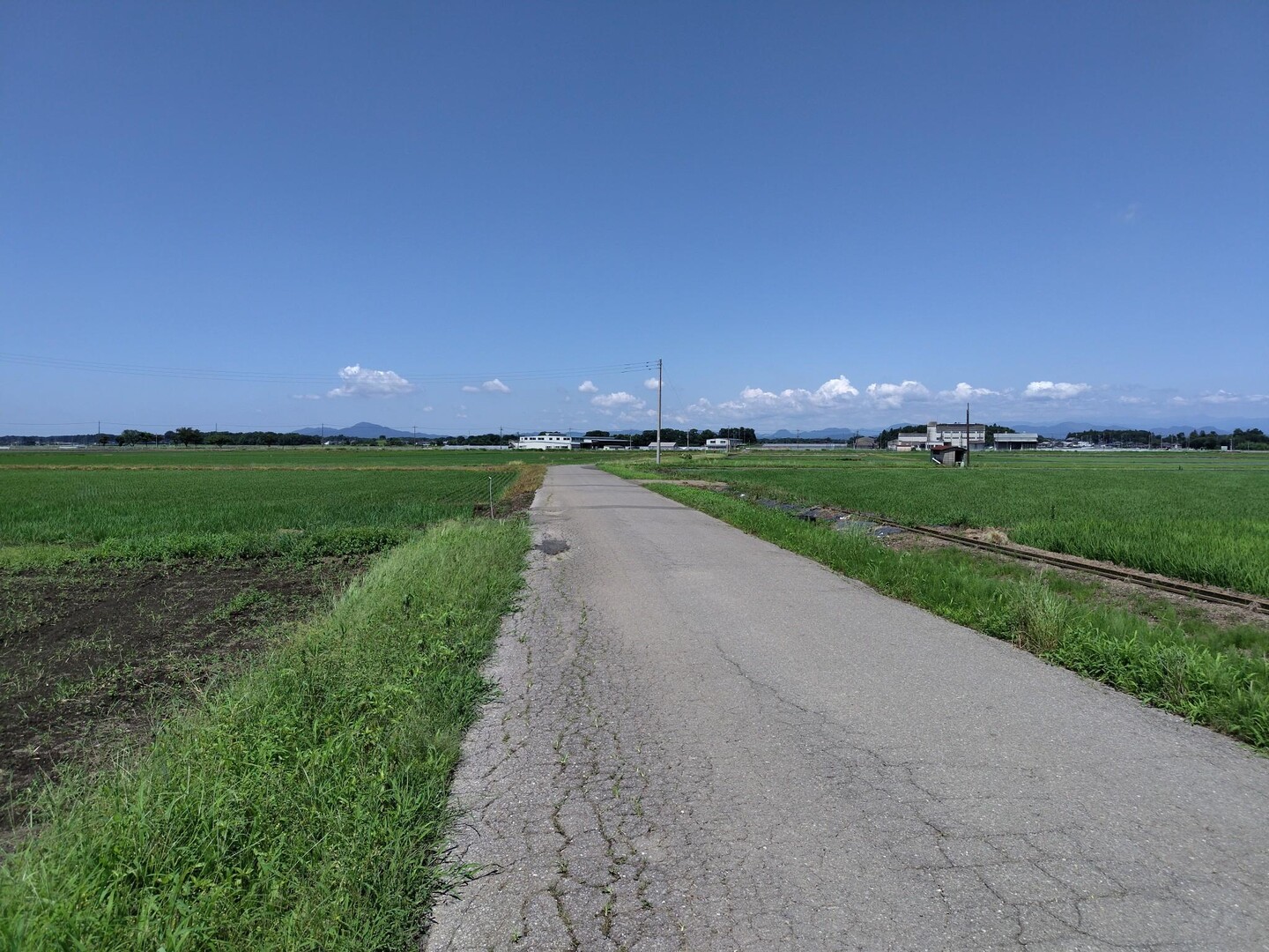 ウォーキング 下野市 / ykさんの下野市の活動データ | YAMAP / ヤマップ