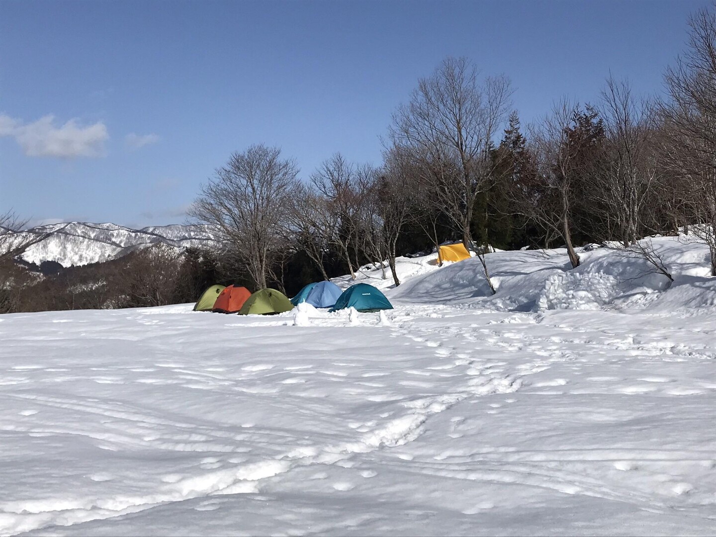 取立山-2023-02.11-12 / naga-chanさんの取立山の活動データ | YAMAP / ヤマップ