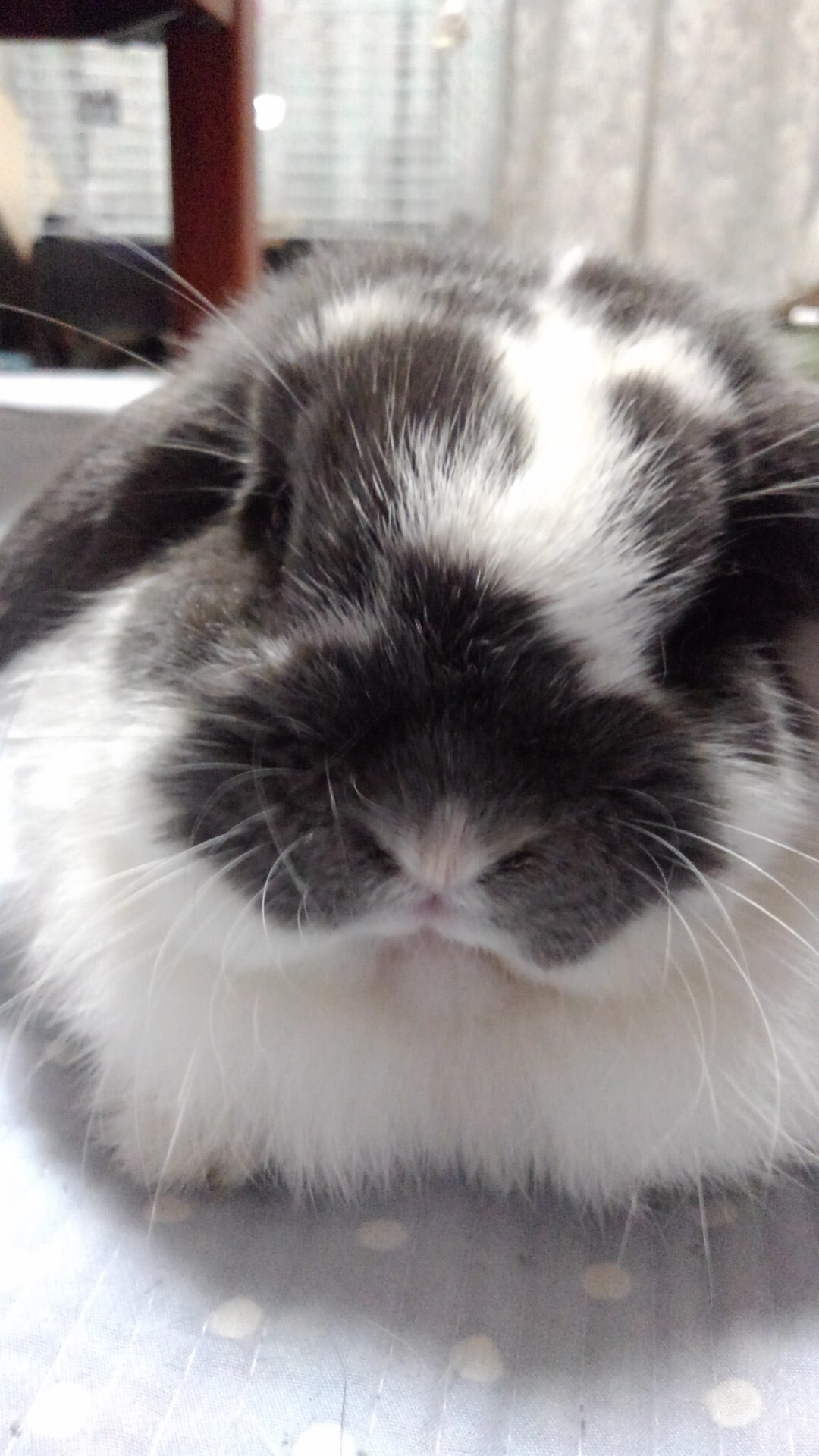 eiji-f7rのページ | YAMAP / ヤマップ