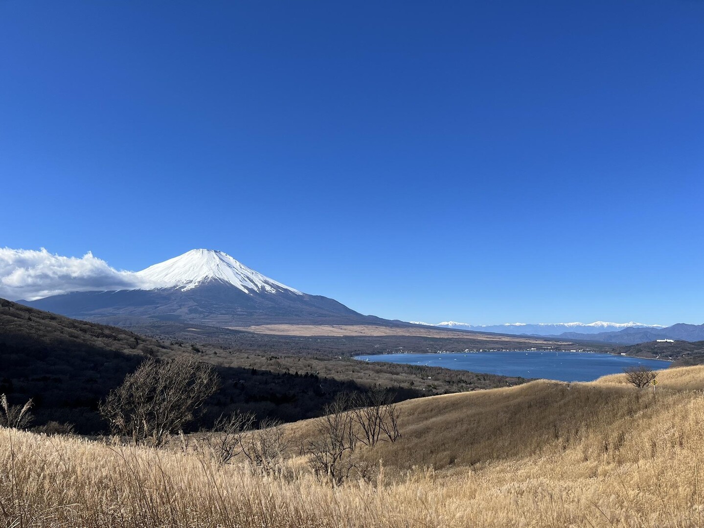 今日の富士山🗻 山へは行けなかったけ... / yayokoさんのモーメント | YAMAP / ヤマップ