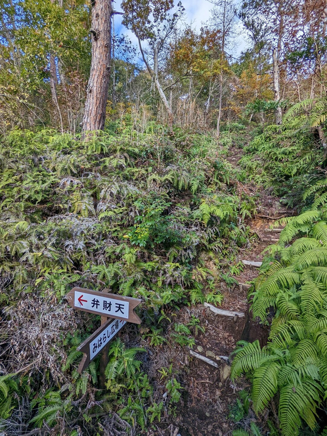 tkhsさんの投稿したフィールドメモ | YAMAP / ヤマップ