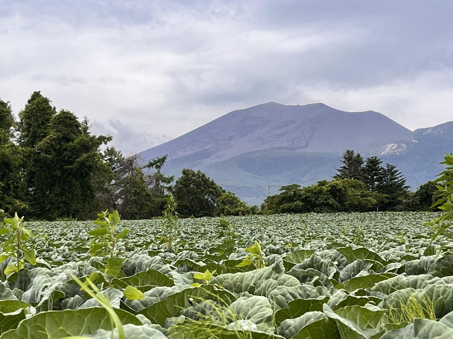 PM_浅間山（黒斑山） 下山は大雨⛈️ / 山彦谷さんの浅間山・黒斑山・篭ノ登山の活動データ | YAMAP / ヤマップ