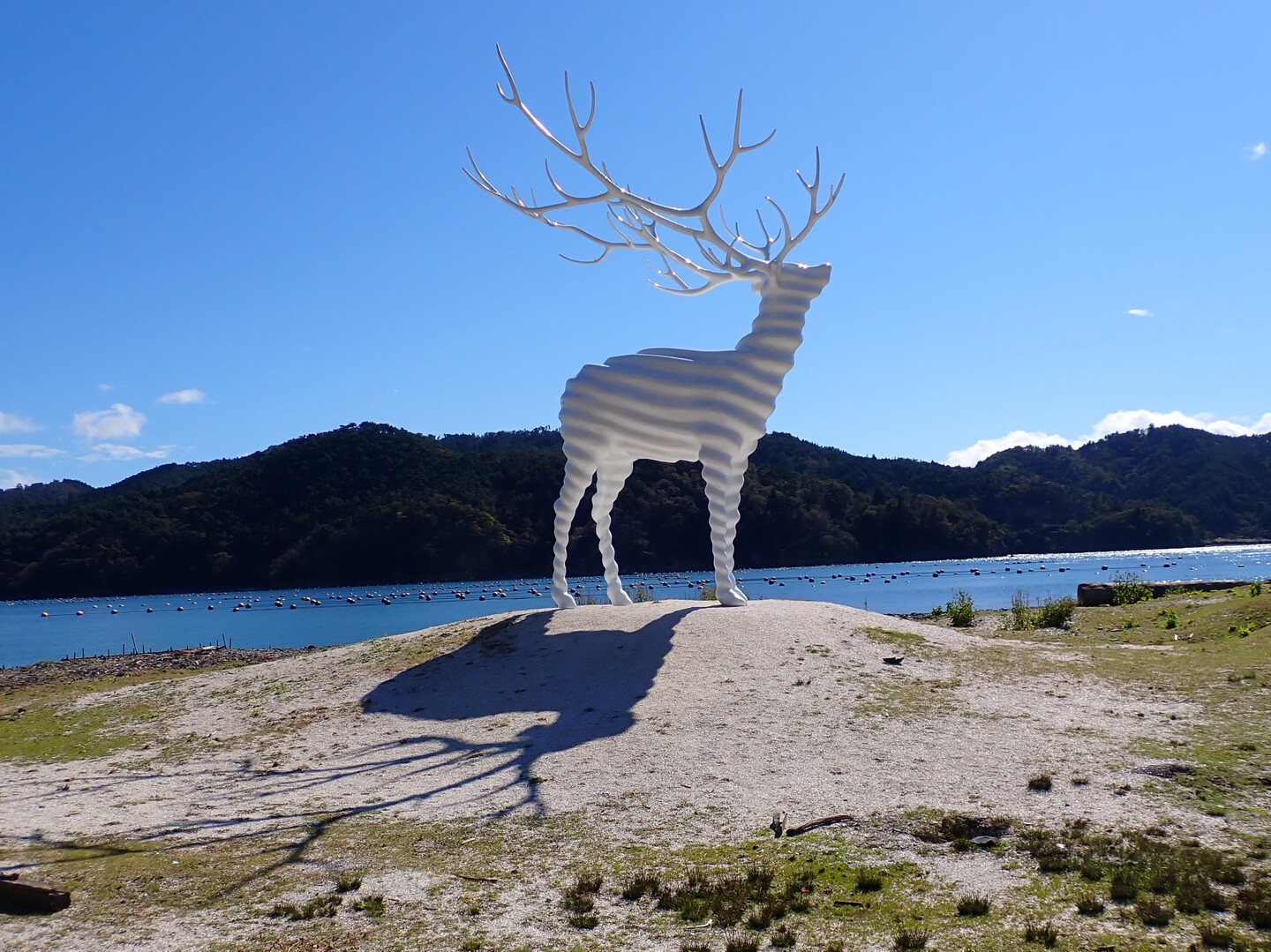 白い鹿に🦌 会いたくて牡鹿半島へ💨 / fuuさんの石巻市の活動日記 | YAMAP / ヤマップ