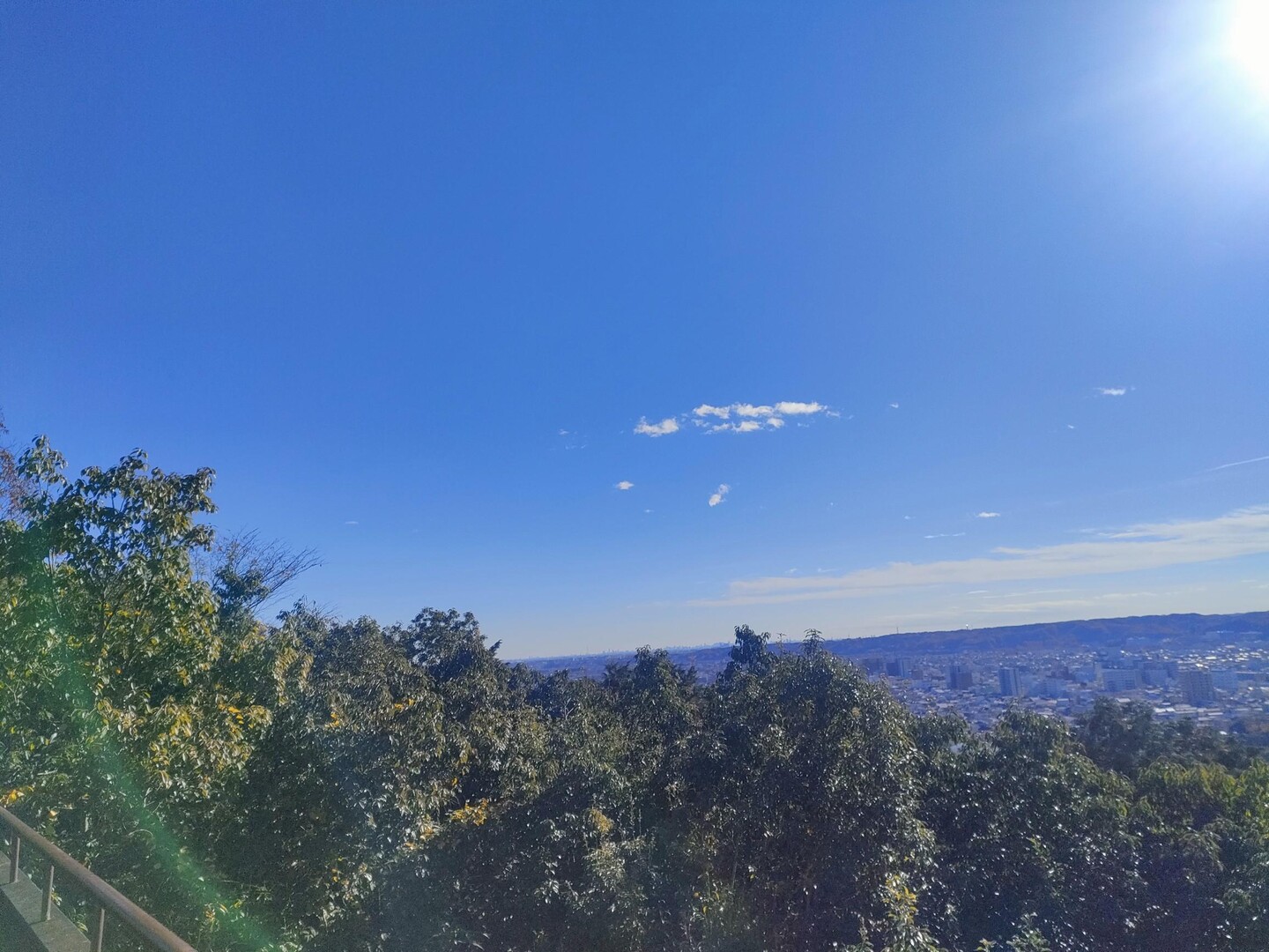 天覧山・神久山・第二天覧山 / kahoさんの天覧山・多峯主山・天覚山の活動データ | YAMAP / ヤマップ