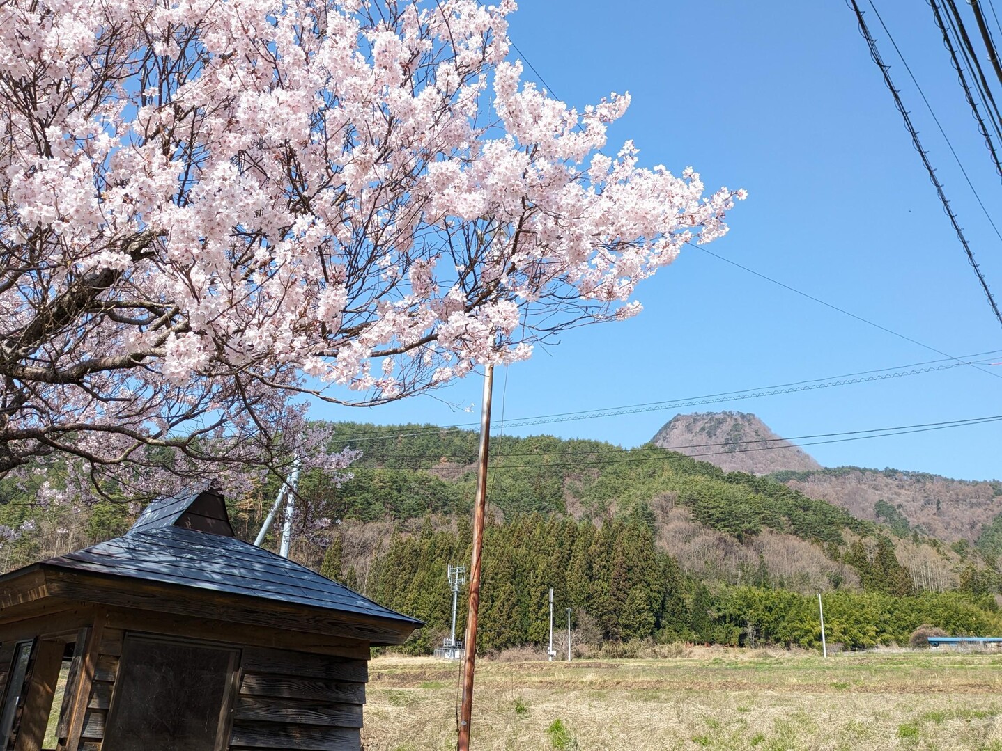 前日の霧訪山が不完全燃焼だったので本日子檀嶺岳へ / 歩ん婆（ayunba）さんの子檀嶺岳・岩井堂山の活動データ | YAMAP / ヤマップ