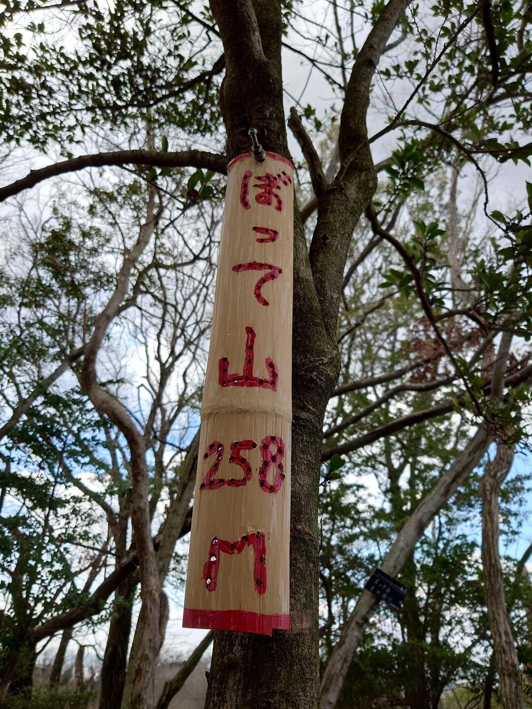 プチピークハント⛰してみよう星田連山ᕦ⁠(⁠ò⁠_⁠ó⁠ˇ⁠)⁠ᕤ / oneさんの交野山・国見山の活動データ | YAMAP / ヤマップ