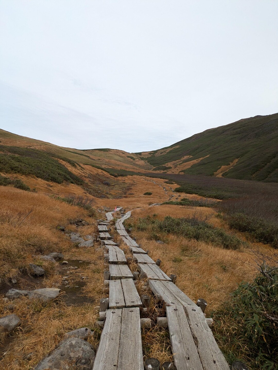 姥ヶ岳・柴灯森 / 大黒森PJ(旧FCドロンパ)さんの月山の活動データ | YAMAP / ヤマップ