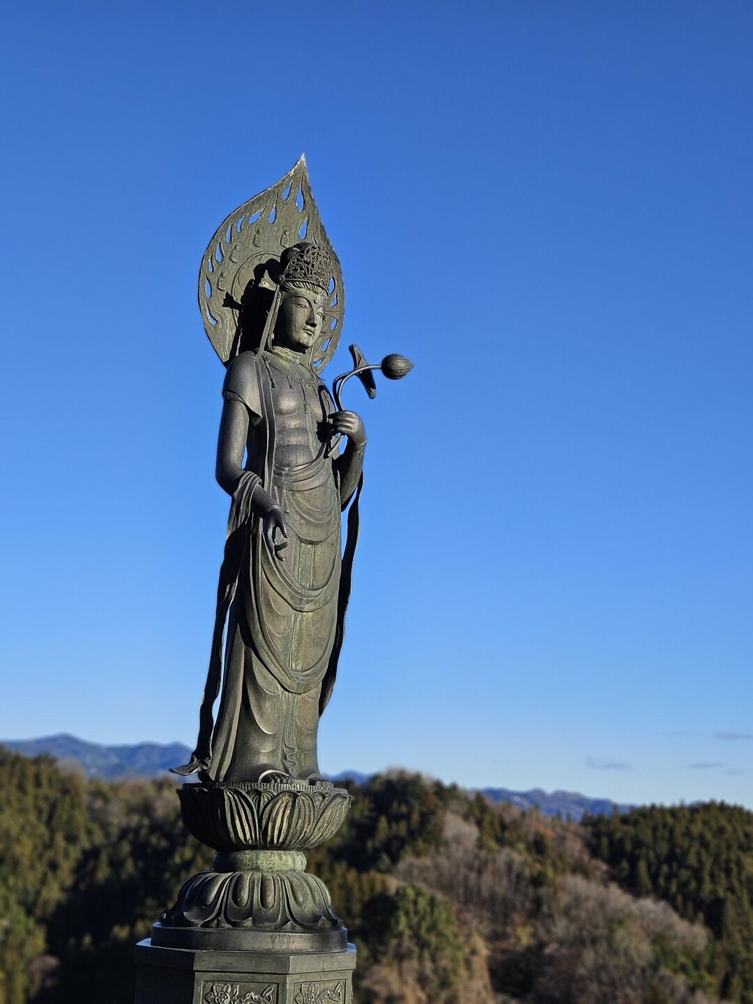 小春日和の小鹿野アルプス☀ / HIDEさんの小鹿野アルプス・釜ノ沢五峰・般若山の活動データ | YAMAP / ヤマップ