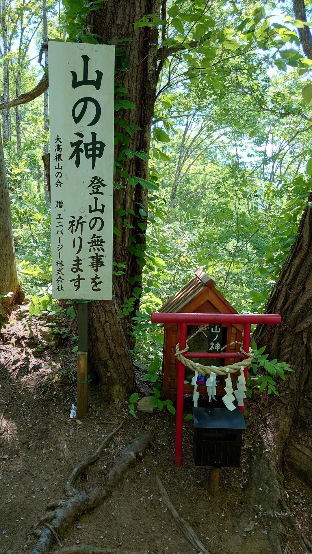 日本一きれいな登山道の 八森山・赤松の峰・岩倉山・大高根山 / rukyさんの二ツ森の活動日記 | YAMAP / ヤマップ