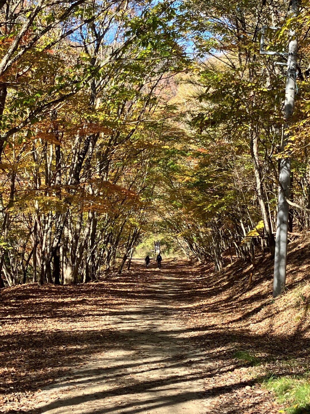 西沢渓谷 / GOYAさんの甲武信ヶ岳の活動日記 | YAMAP / ヤマップ
