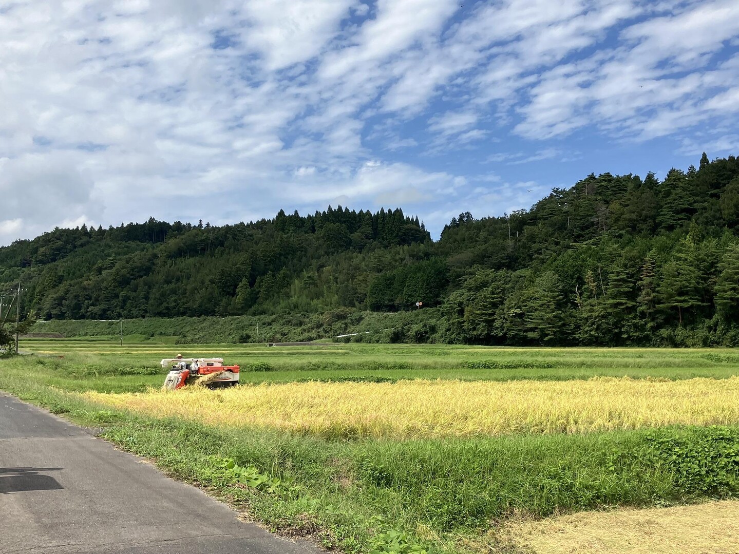 今日は約140袋🌾👨‍🌾🌾 我が... / さとるさんのモーメント | YAMAP / ヤマップ