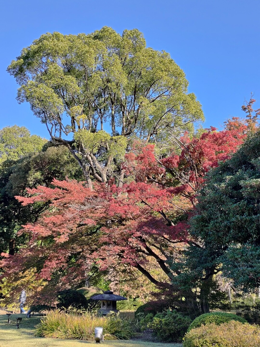 娘の模擬試験会場から、待っている間にウォ... / MOMOさんのモーメント | YAMAP / ヤマップ