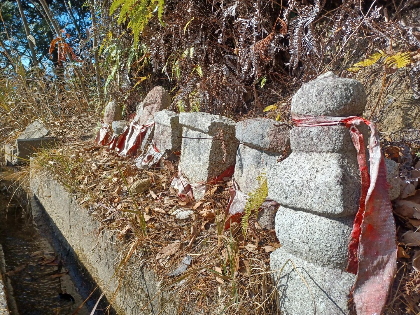 今年もう一度登りたかった山 ～長命寺山・奥島山～ / Azy-mさんの長命寺山・奥島山・尾山の活動データ | YAMAP / ヤマップ