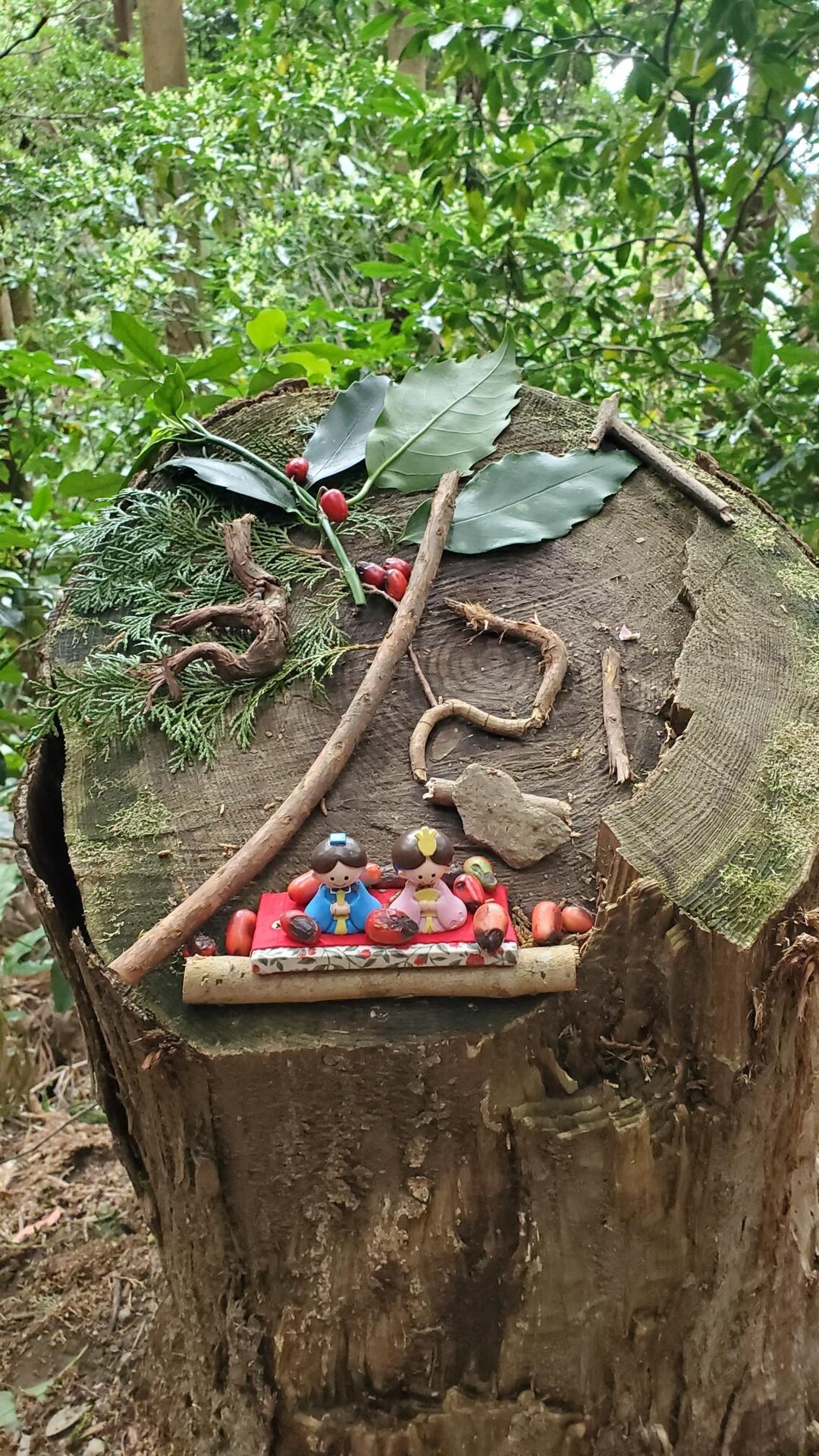 満観峰 WBC 盛り上がってます / tutomuさんの焼津アルプス（高草山・満観峰・花沢山）・徳願寺山の活動データ | YAMAP / ヤマップ