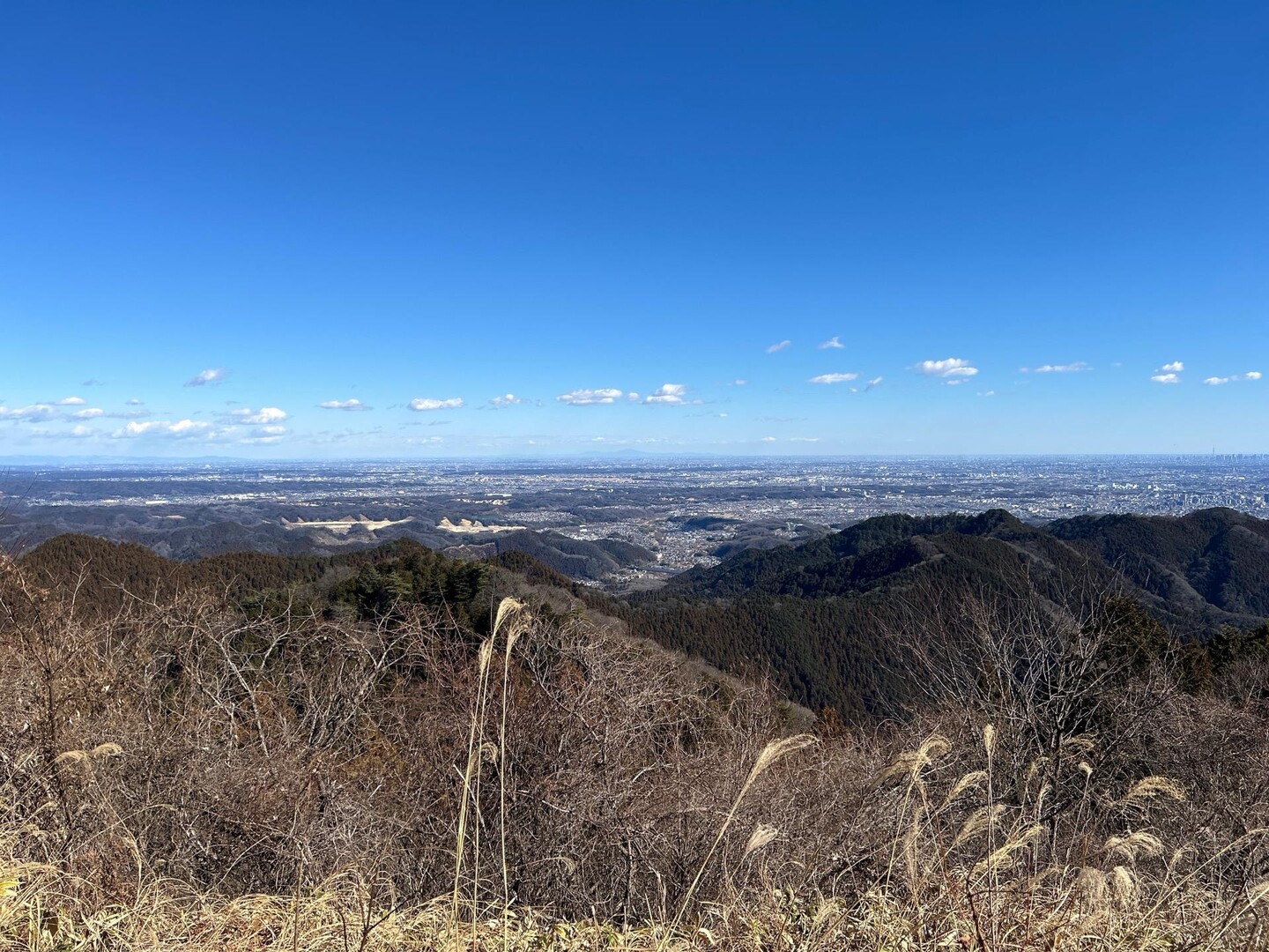 稲荷山・城山（小仏城山）・景信山 / YOUさんの高尾山・陣馬山・景信山の活動データ | YAMAP / ヤマップ