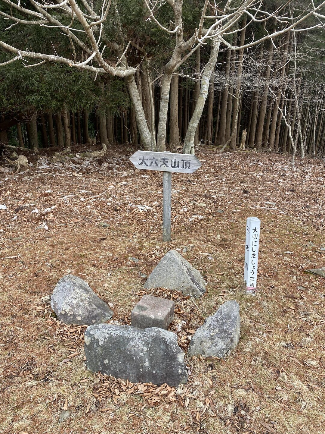 大六天山 / yoshimiさんの金華山・牡鹿半島の活動データ | YAMAP / ヤマップ