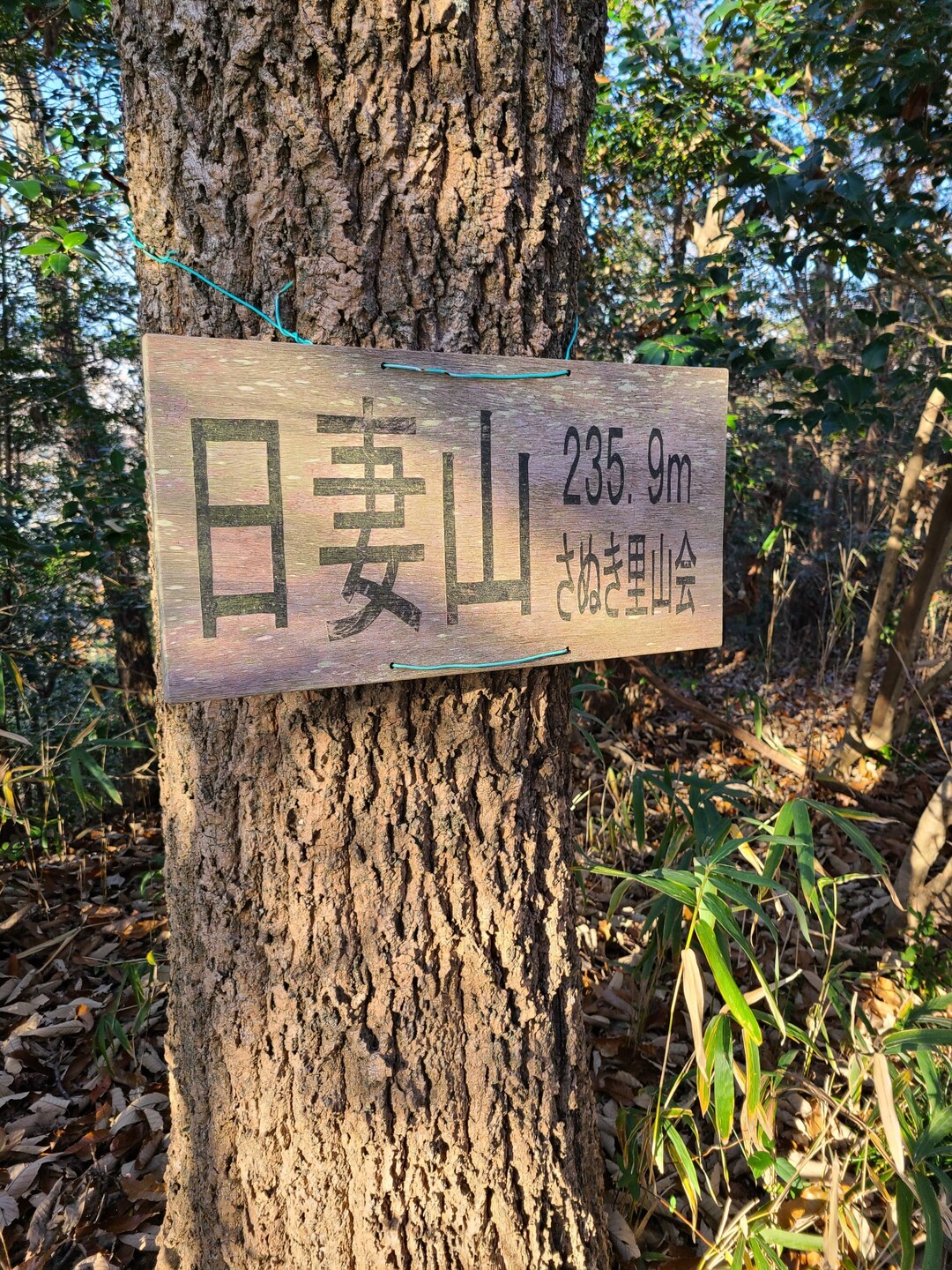 R3.12.11上佐山、日妻山 / くまちゃんさんのウォーキングの活動データ | YAMAP / ヤマップ