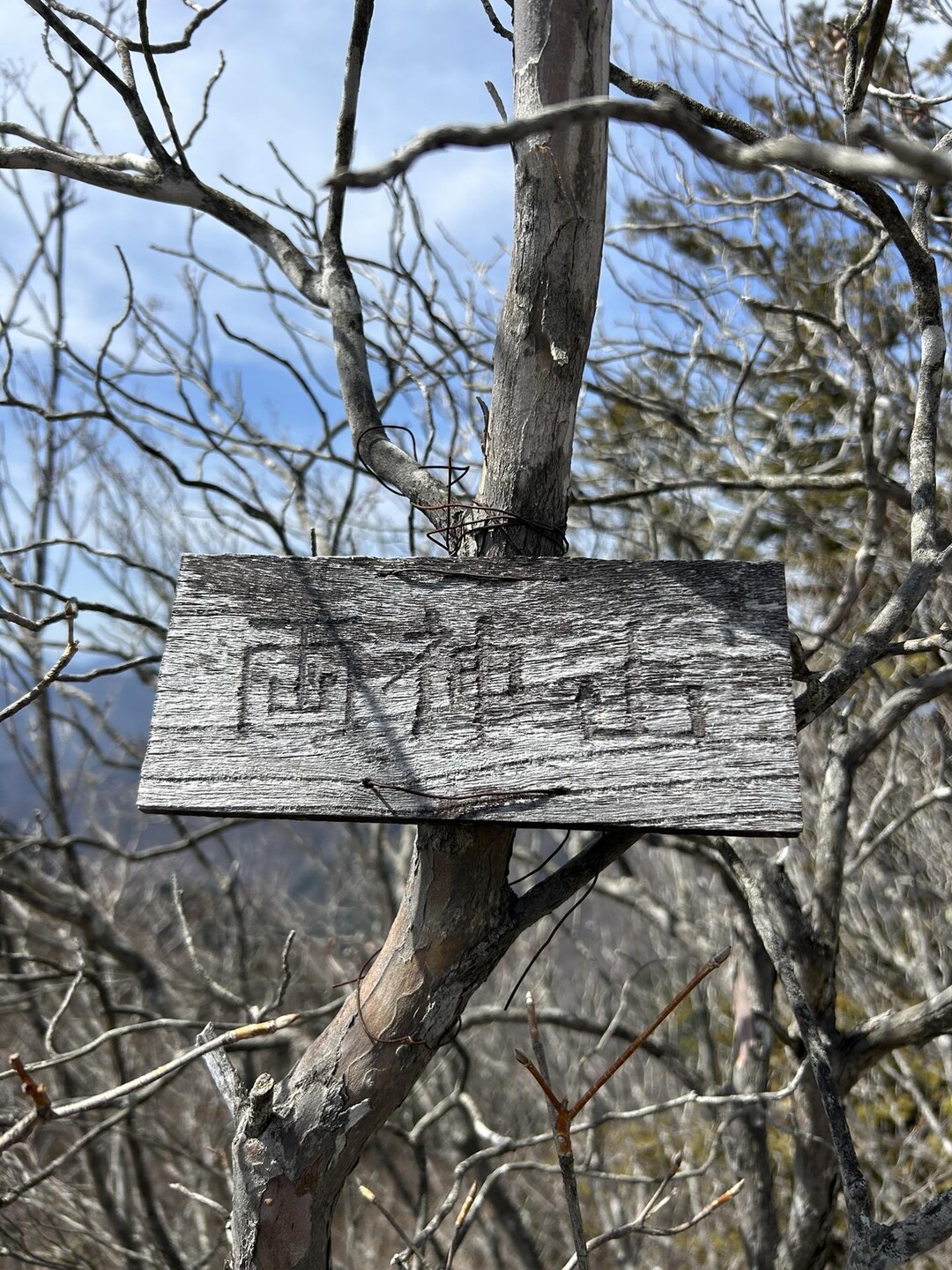 両神山 / mmm.stさんの両神山・諏訪山・二子山の活動データ | YAMAP / ヤマップ