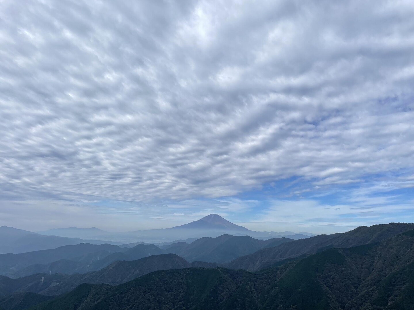 岳ノ台・二ノ塔・三ノ塔 / maaさんの塔ノ岳・丹沢山・蛭ヶ岳の活動データ | YAMAP / ヤマップ