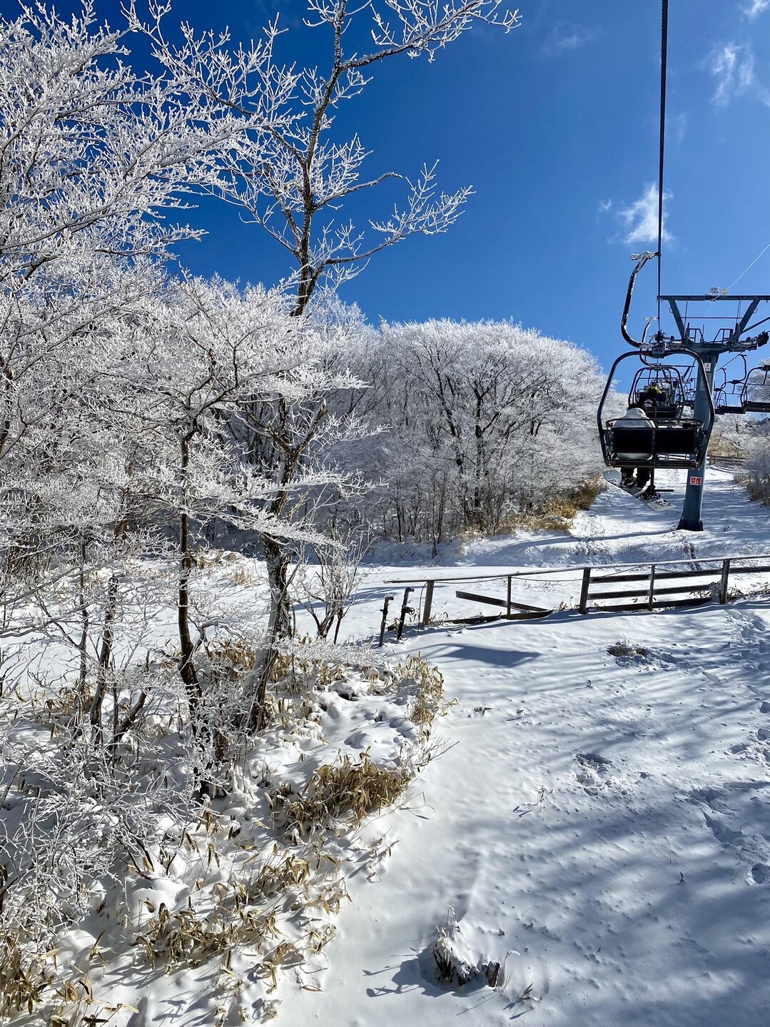 めちゃくちゃ久しぶりに九重でスキーをしま... / ゆっきーさんのモーメント | YAMAP / ヤマップ