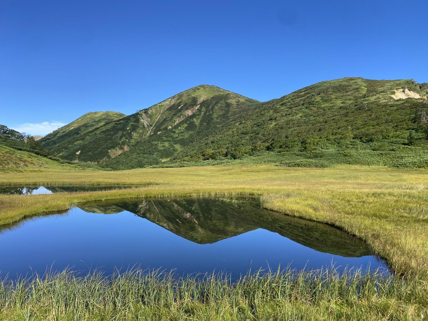 火打山・茶臼山・妙高山（北峰）・妙高山（南峰） / yamakenさんの妙高山・火打山の活動データ | YAMAP / ヤマップ