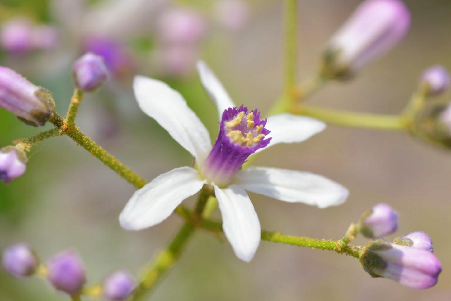 いろいろあるけど今日も 頑張ってリハビリ... / とくちゃんさんのモーメント | YAMAP / ヤマップ