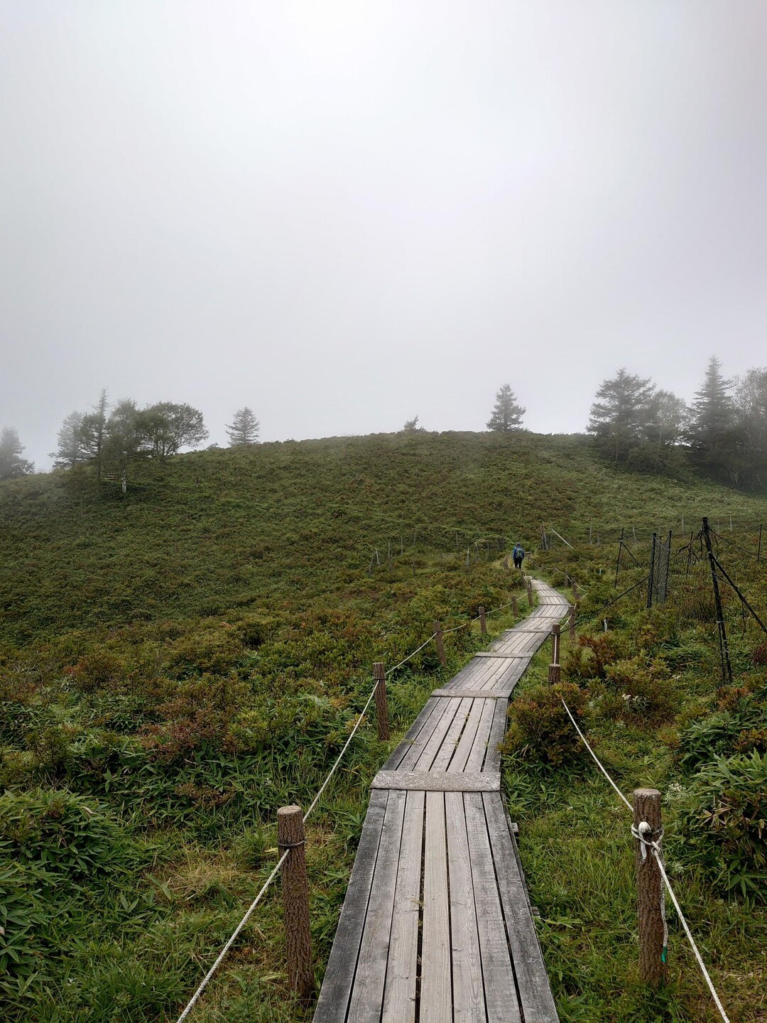 甘利山 / zakuさんの鳳凰山・地蔵岳・観音岳・薬師岳の活動データ | YAMAP / ヤマップ
