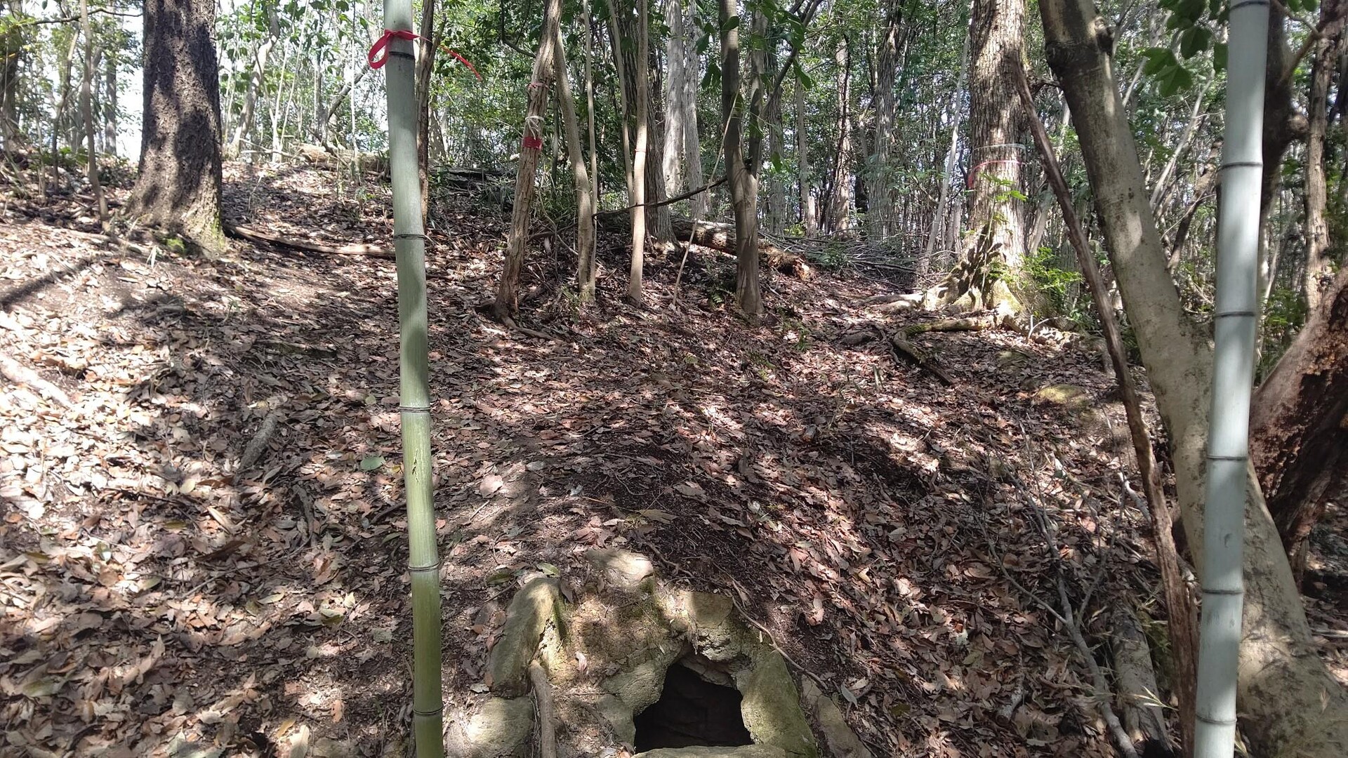 Minamiさんの投稿したフィールドメモ | YAMAP / ヤマップ